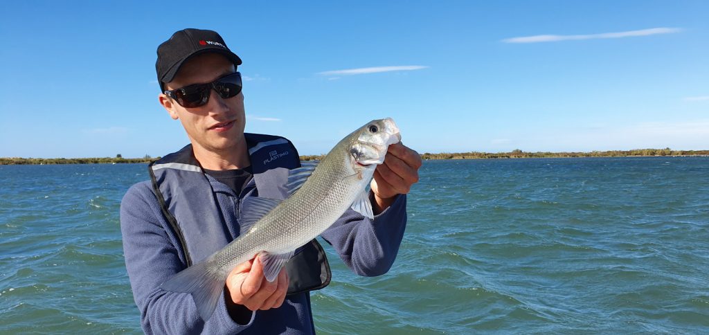 Pêche du loup en méditerranée - EXOTIC FISHING