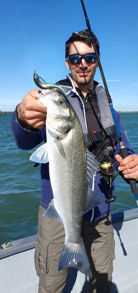 Pêche du loup en méditerranée - EXOTIC FISHING